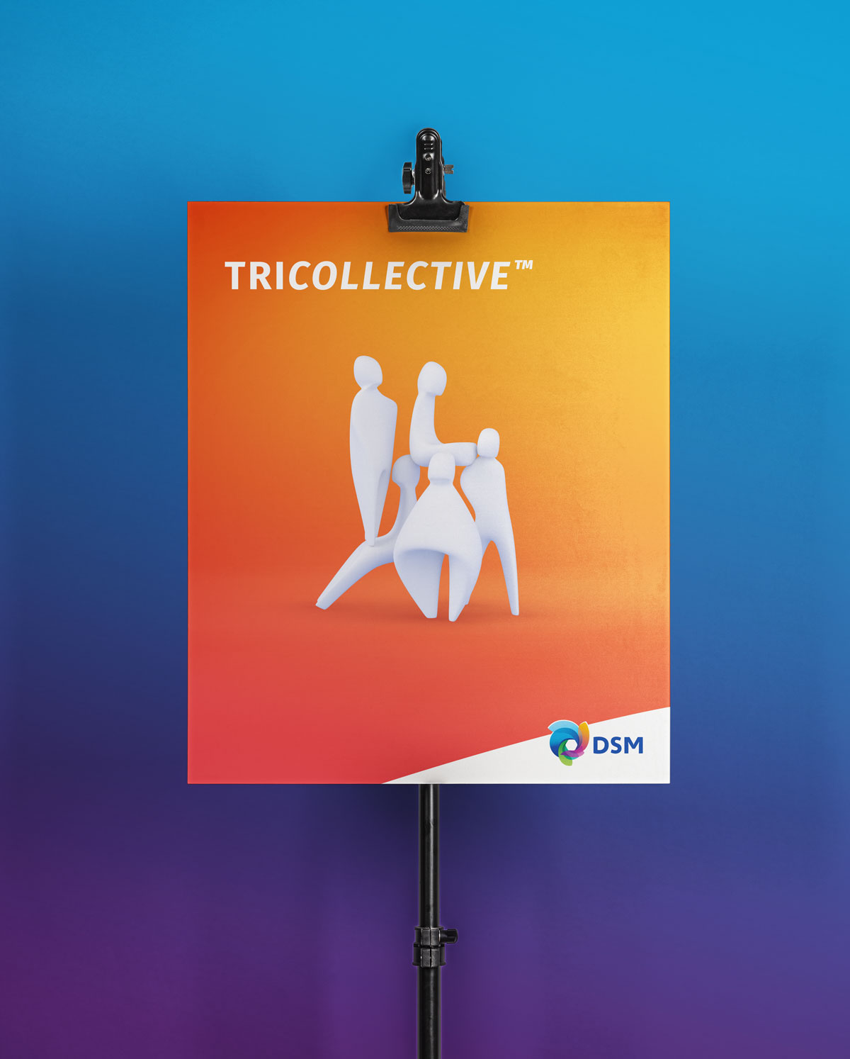 DSM - stevenverryt.com